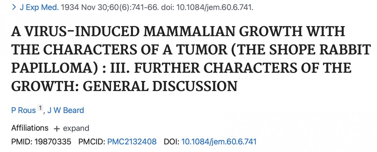 HPVの存在証明⑨Shope Rabbit Papillomaの登場 | アマクロ疣研