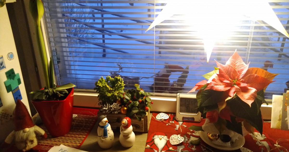 フィンランド生活129日目。〜実家がクリスマス仕様だわ〜 30代になったし、フィンランドで大学院生してみる。