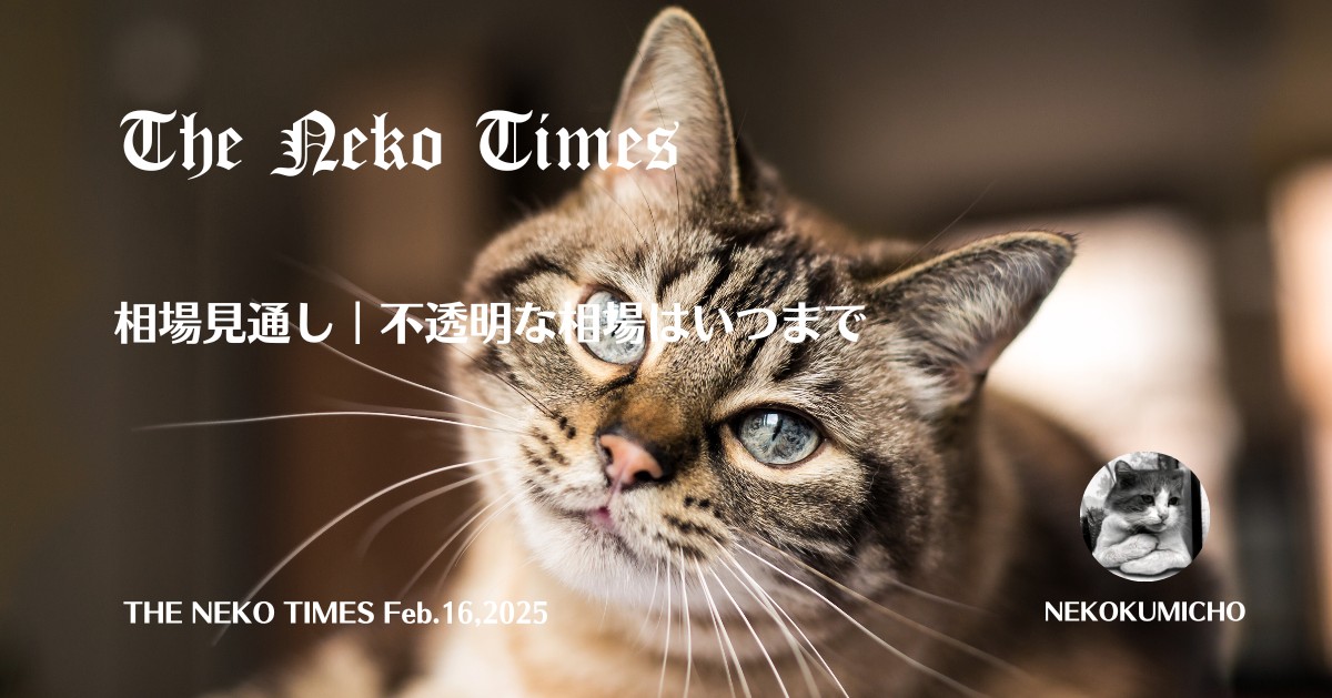 相場見通し｜不透明な相場はいつまで | NEKO TIMES